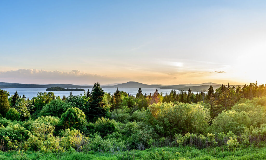 How We Work - Northern Forest Center