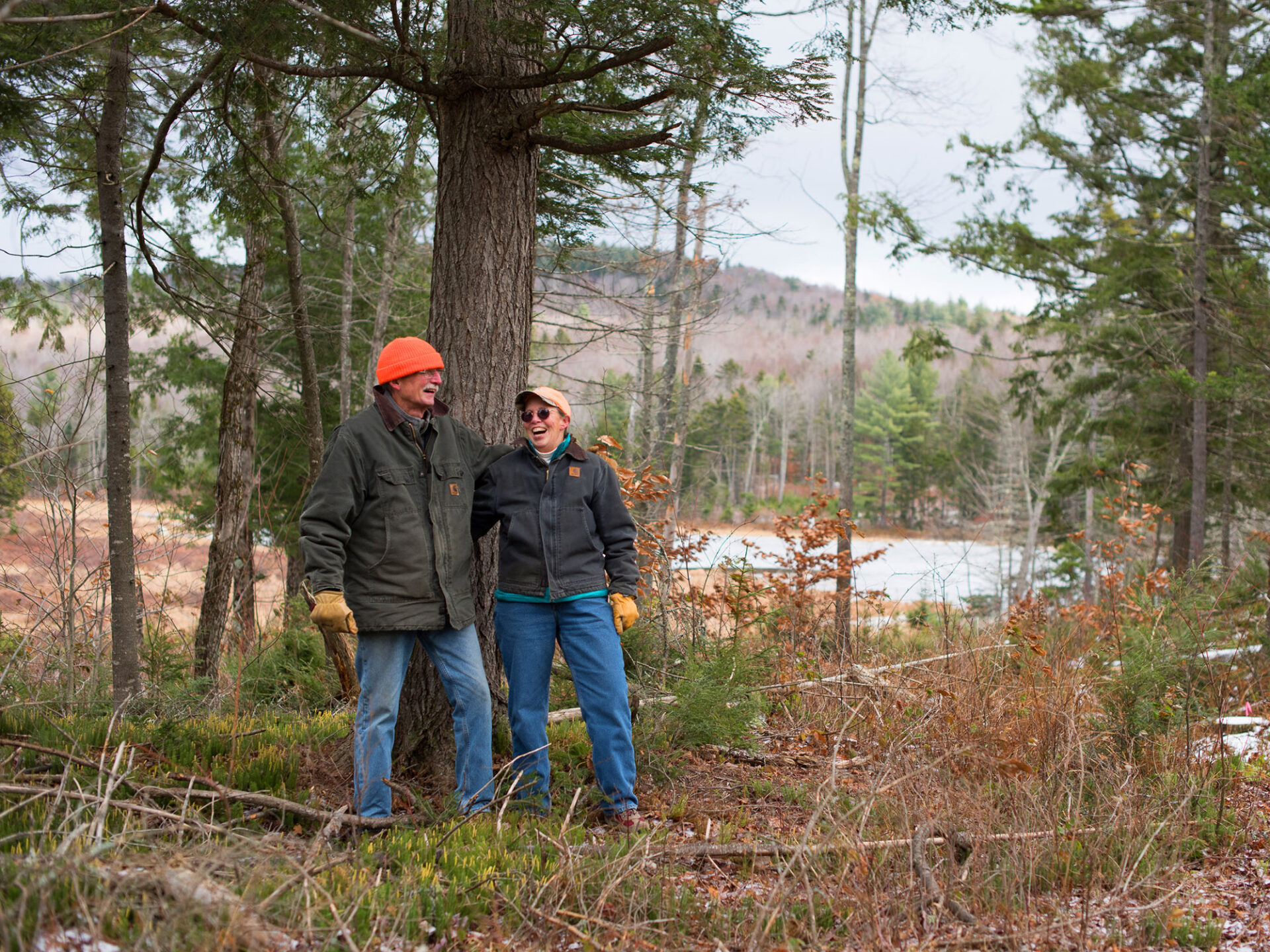 Wood Heat FAQs - Northern Forest Center