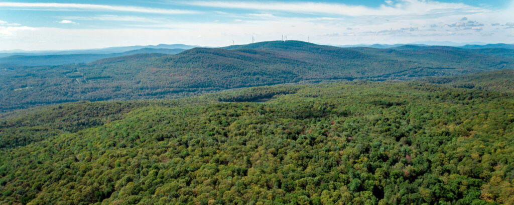 Climate Action Plan Fails Without Forests - Northern Forest Center