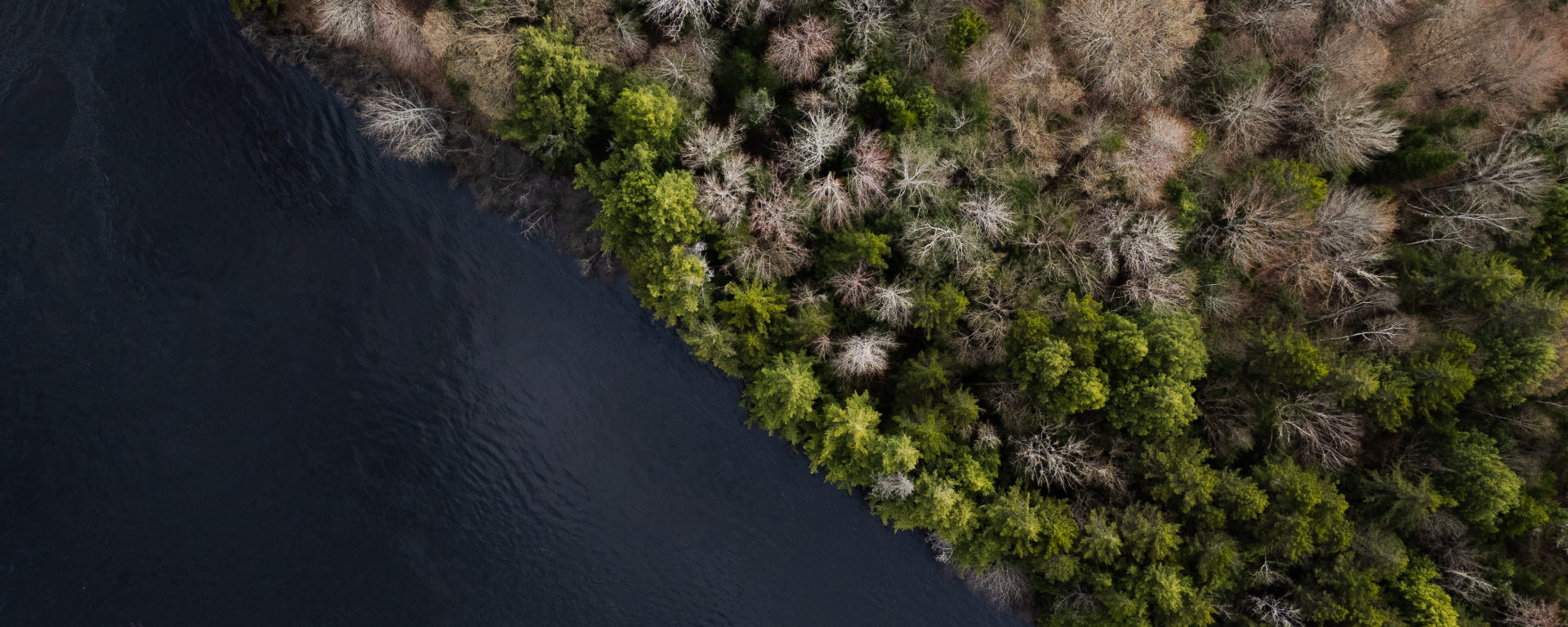 Dartmouth Project Showcases Community Forests - Northern Forest Center