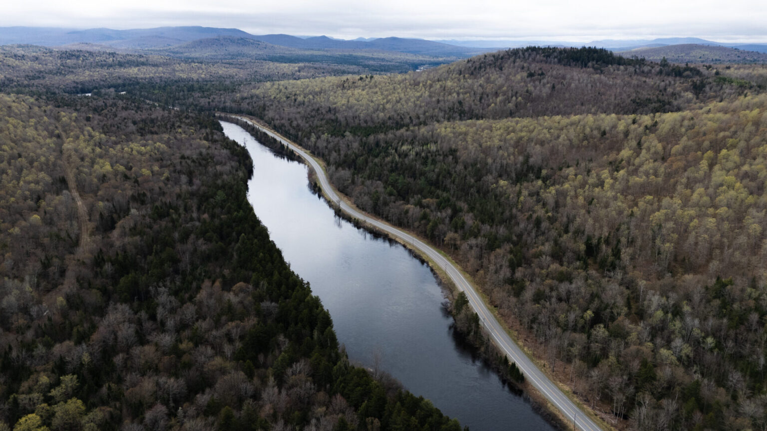 Dartmouth Project Showcases Community Forests - Northern Forest Center